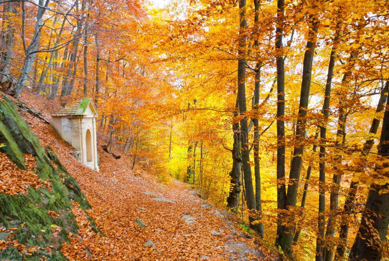 Shrine in a forest stock image. Image of humble, small - 38905441