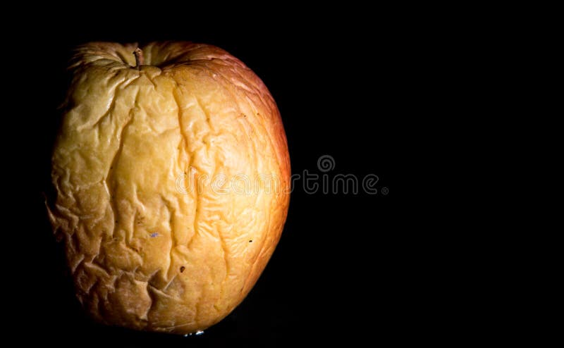 Shriveled Face Stock Photos - Free & Royalty-Free Stock Photos from ...