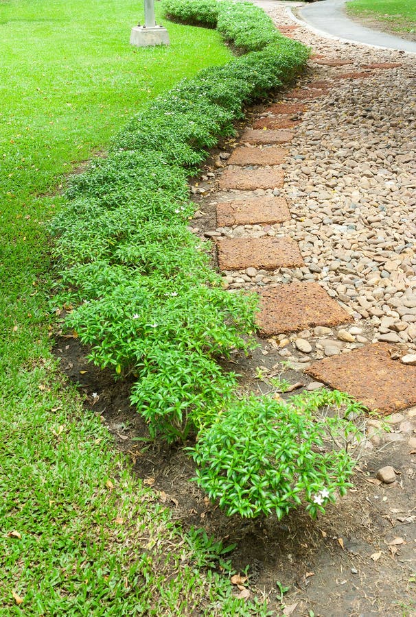 Shrub line stock image. Image of green, yard, brick, landscape - 42566687