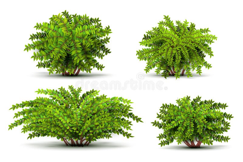 Shrubbery Stock Illustrations – 2,289 Shrubbery Stock Illustrations ...