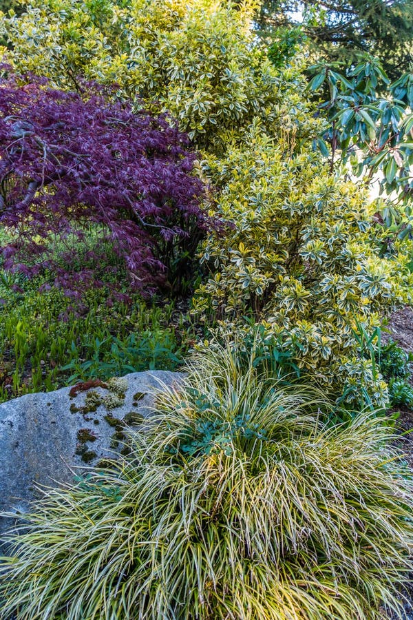 Shrubbery Landscape stock image. Image of shrubs, macro - 91129483