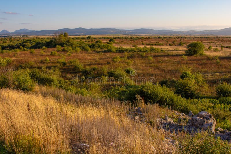 Shrubland Vegetation in Mediterranean Stock Image - Image of plants ...