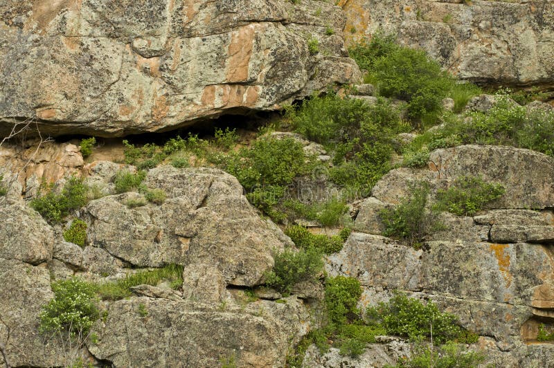 Shrubs Growing in Granite Outcrop Stock Image - Image of decomposition ...