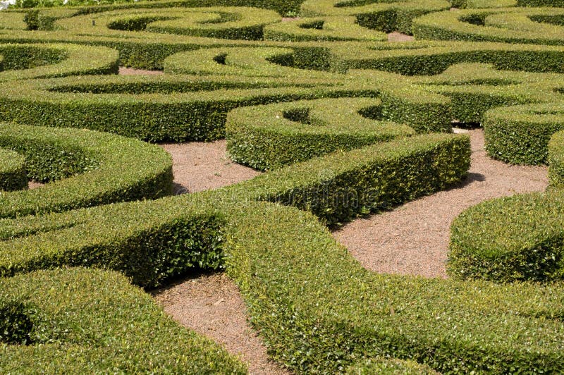 Shrubs Maze stock image. Image of pattern, daytme, nature - 5134383