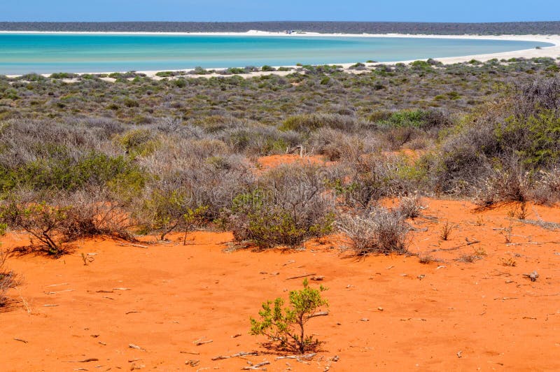 The Beach at Denham, Shark Bay Stock Photo - Image of rocks, francois ...