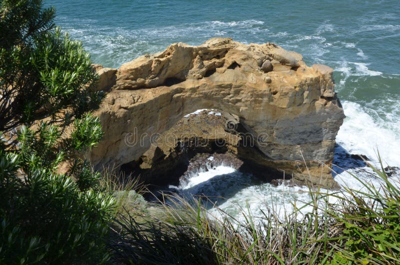 Shrubs Wit Fuzzy Rock Gate in the Background at the Seacoast Stock ...