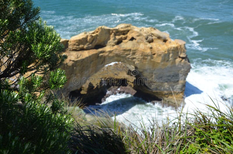 Shrubs Wit Fuzzy Rock Gate in the Background at the Seacoast Stock ...