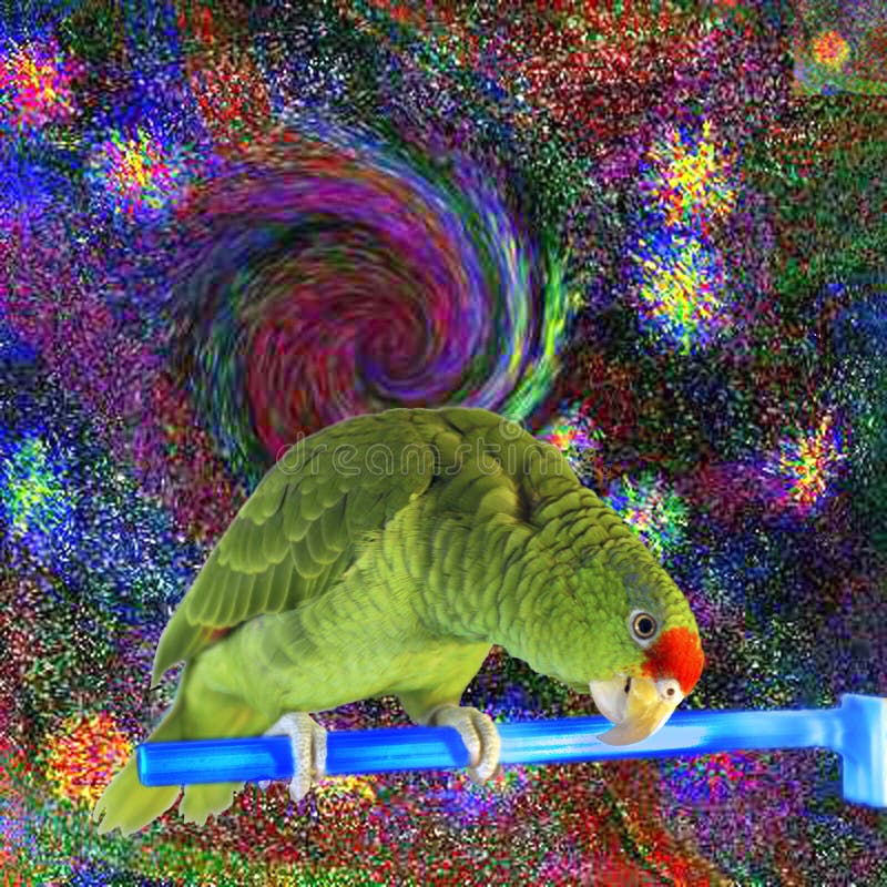 938 Shugar Stock Photos - Free & Royalty-Free Stock Photos from Dreamstime