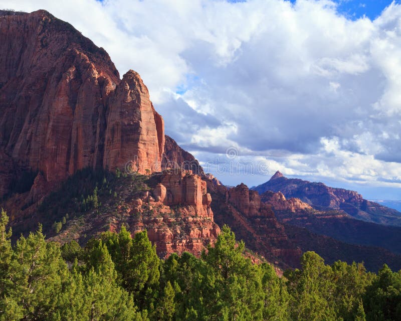 Nature stock photo. Image of greens, phone, clean, beautiful - 74996006