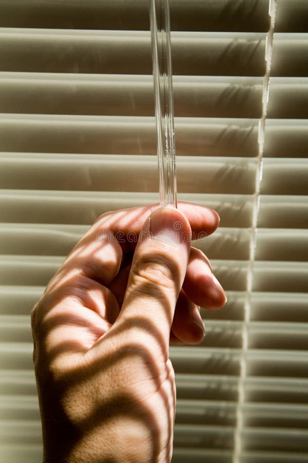 Shutter stock image. Image of shutter, close, opening - 2798559