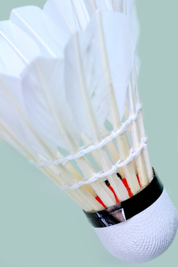 Shuttle stock photo. Image of athletic, bird, birdie - 18014836