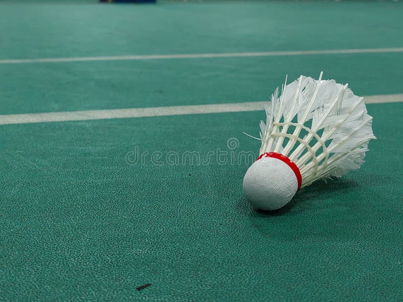 Shuttle on Badminton Field stock image. Image of professional - 241155981