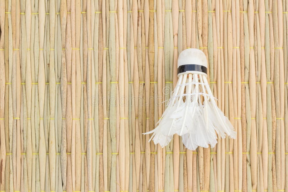 Shuttle stock photo. Image of health, activity, feather - 48714378