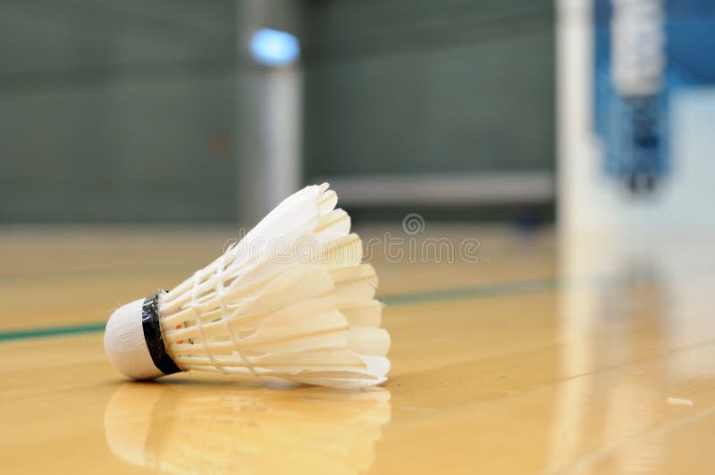 Shuttlecock stock image. Image of activity, racket, five - 10719709