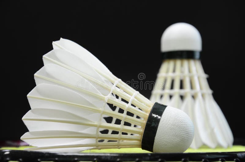 Shuttlecock stock image. Image of racket, black, shuttlecock - 20489673