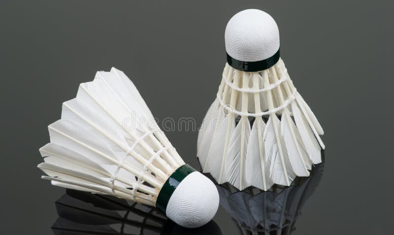 Badminton birds stock photo. Image of battledore, leisure - 8627468