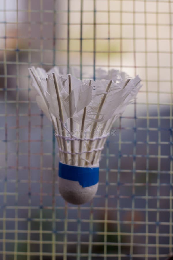 Shuttlecock in a Hand. Activity Outdoor, in the Evening Life Style ...