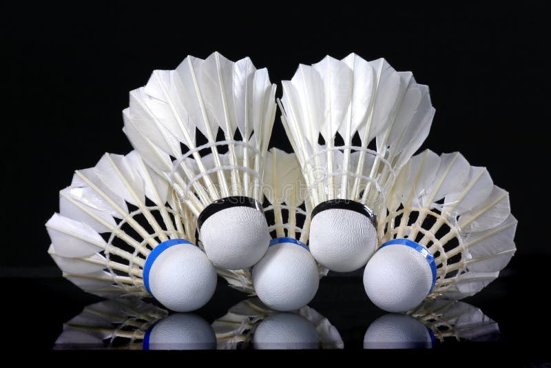 Badminton birds stock photo. Image of battledore, leisure - 8627468
