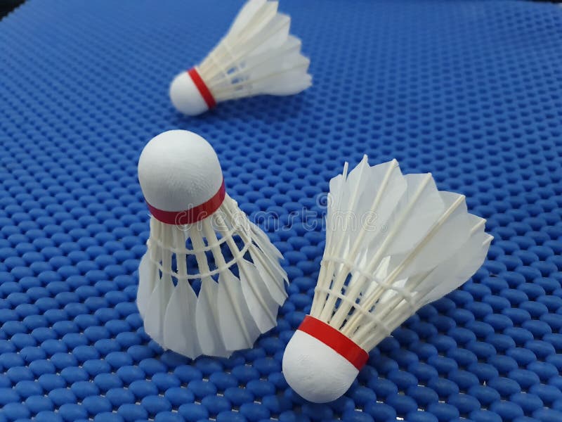 796 Badminton Smash Pro Stock Photos - Free & Royalty-Free Stock Photos ...