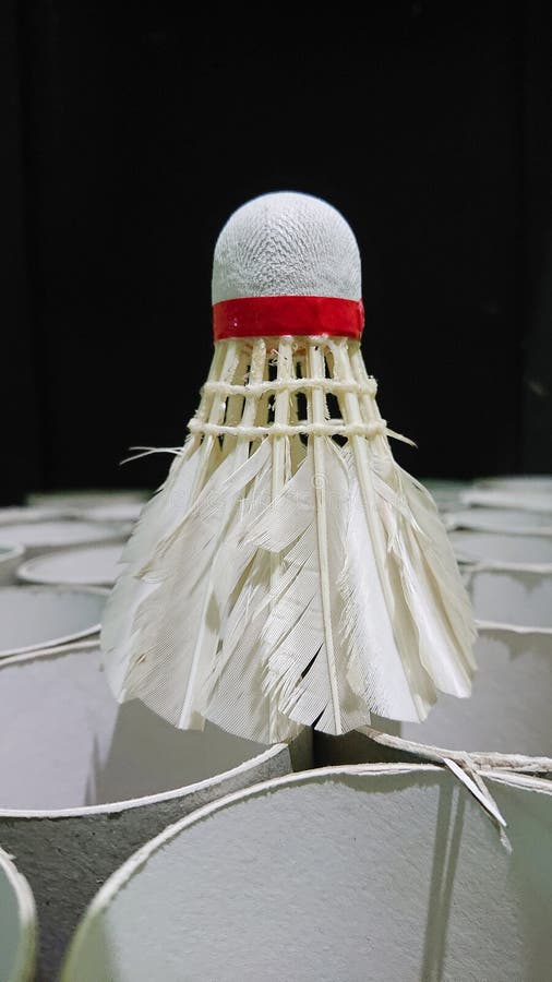 Shuttlecock badminton stock image. Image of serengan - 284266315