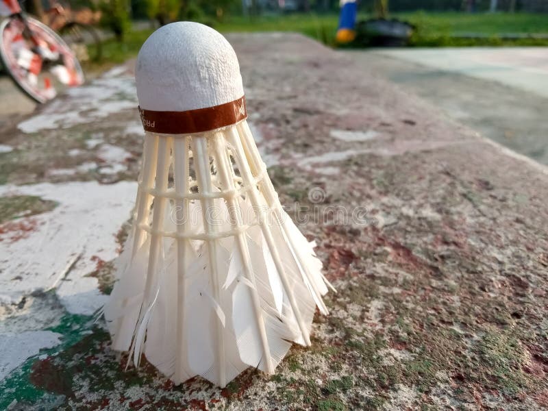Shuttlecock is a Ball Used in Badminton Stock Photo - Image of ceremony ...
