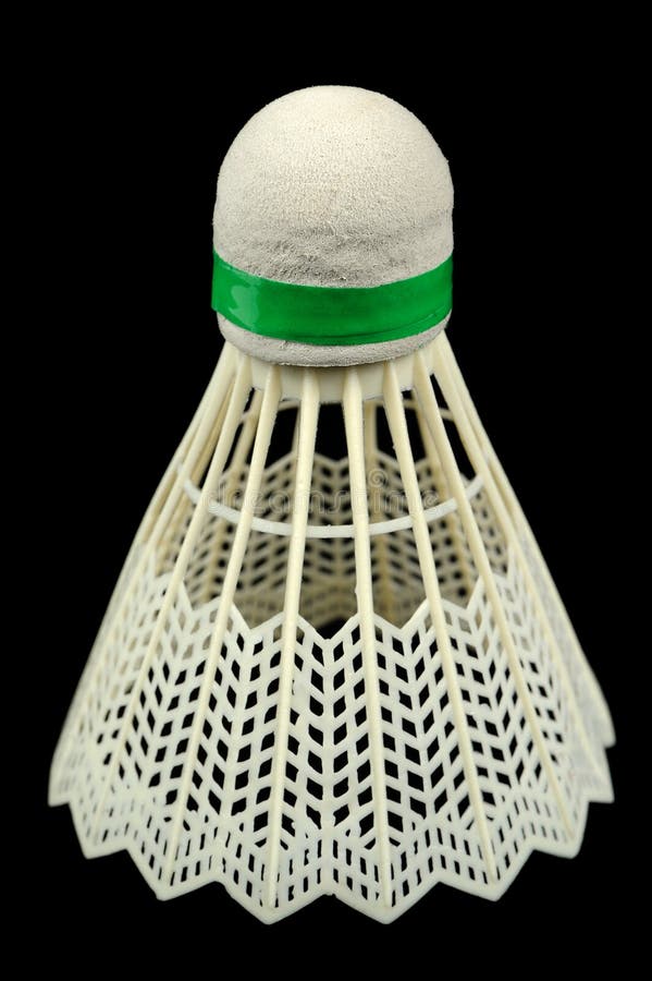 108 Nylon Bird Stock Photos - Free & Royalty-Free Stock Photos from ...