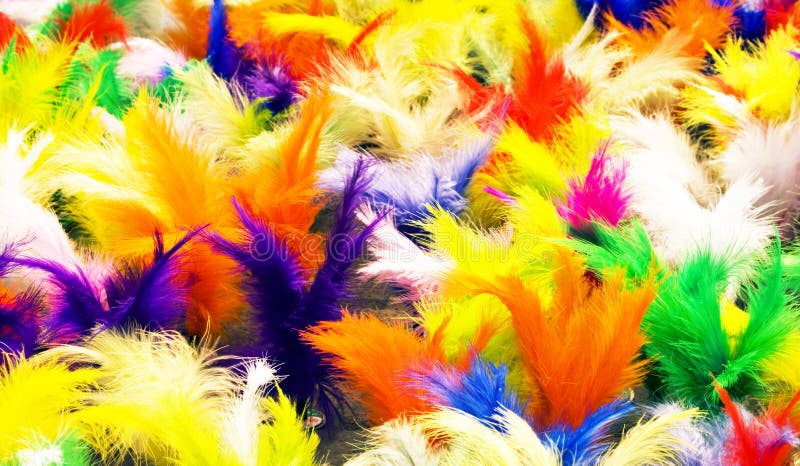 Shuttlecock Feathers stock image. Image of texture, bright - 3976103