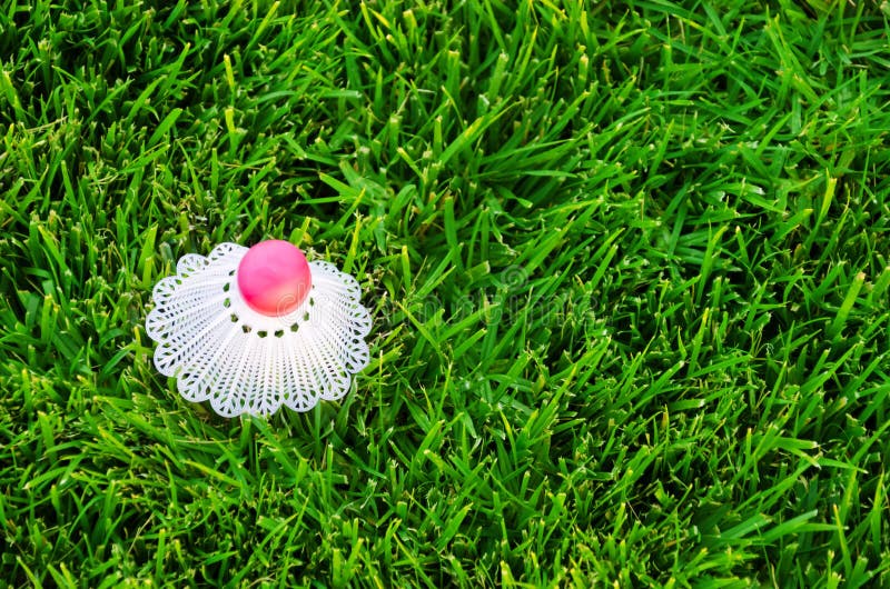 Shuttlecock on the grass stock image. Image of field - 32938923