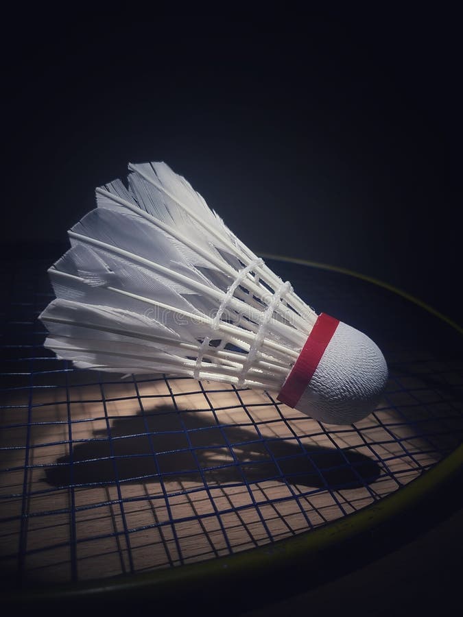 Shuttlecock on a Light Racket in the Dark Stock Image - Image of dark ...