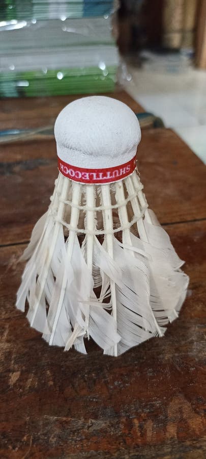 Shuttlecock Playing Badminton Stock Photo - Image of white, fashion ...