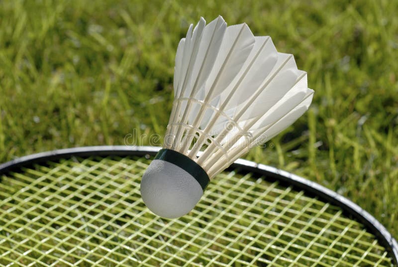 Shuttlecock on racket stock photo. Image of sport, view - 6233476