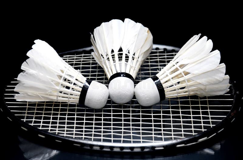 Shuttlecocks stock photo. Image of competition, sport - 3498558