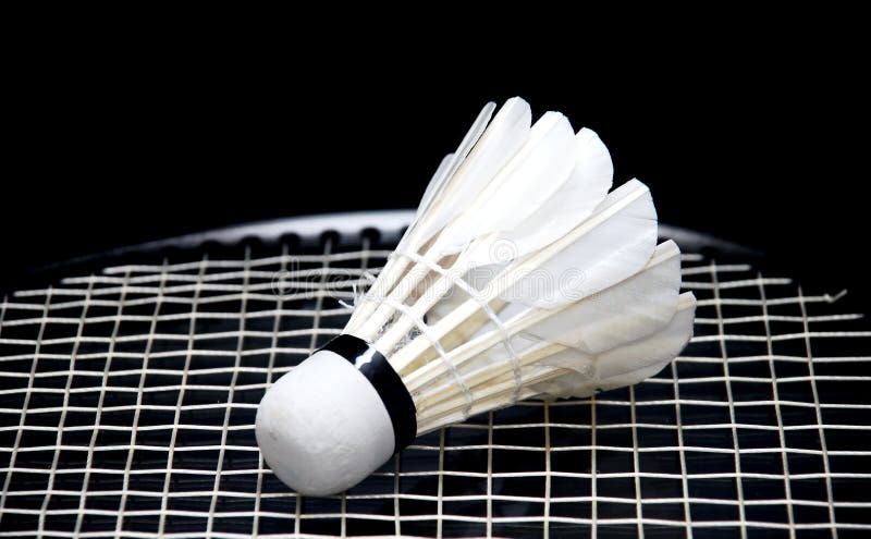 Shuttlecocks Picture. Image: 3498624