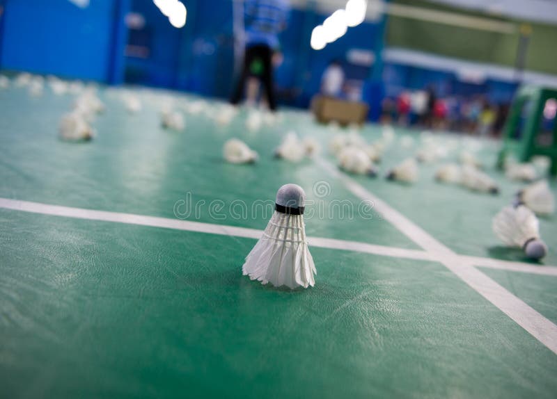 Shuttlecocks stock image. Image of green, details, line - 32603709