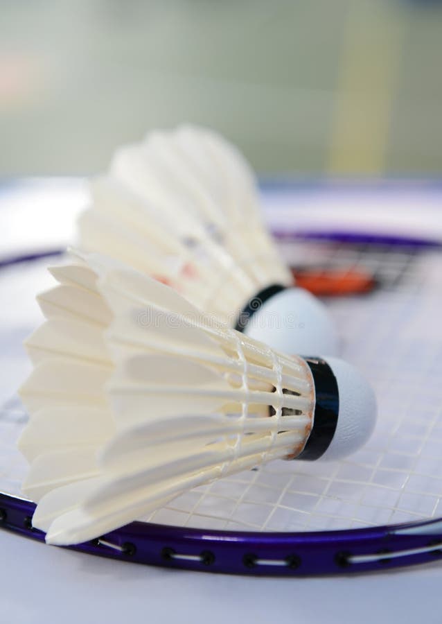 Shuttlecocks and Badminton Racket Stock Image - Image of details ...