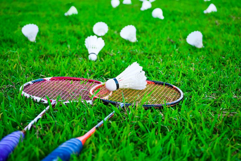 Shuttlecocks and Badminton Rackets on the Green Field Stock Photo ...