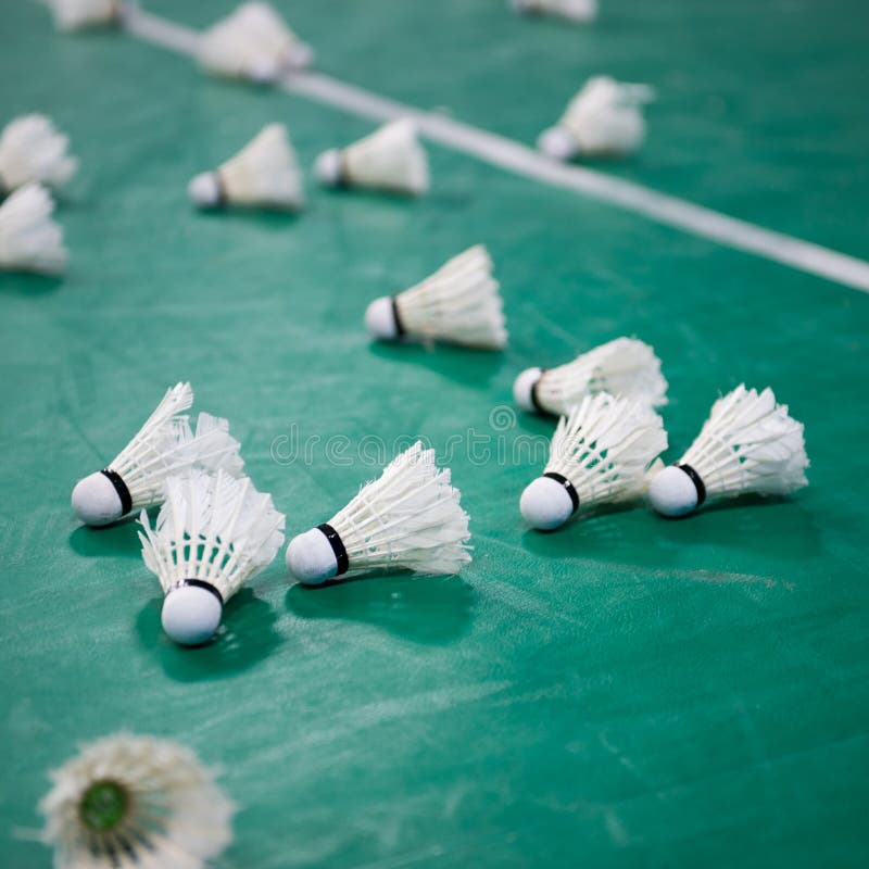 Shuttlecocks stock photo. Image of green, activity, group - 32603458