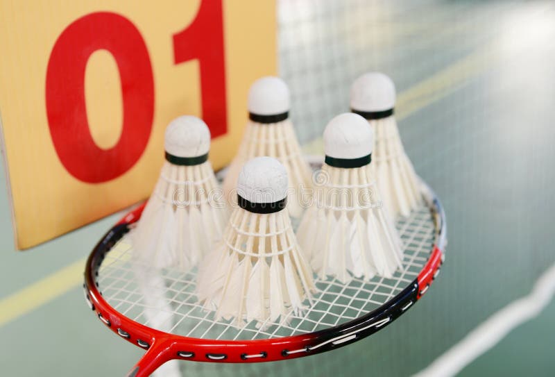Shuttlecocks and Badminton Racket Stock Image - Image of details ...