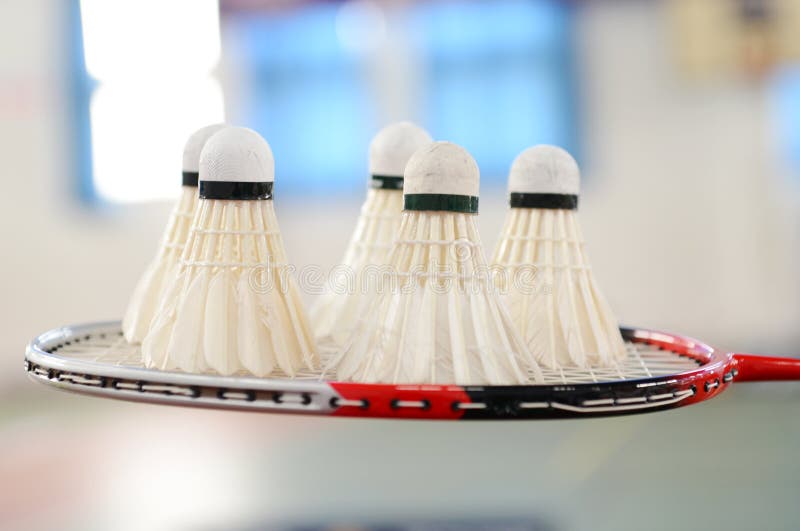 Shuttlecocks and Badminton Racket Stock Image - Image of details ...