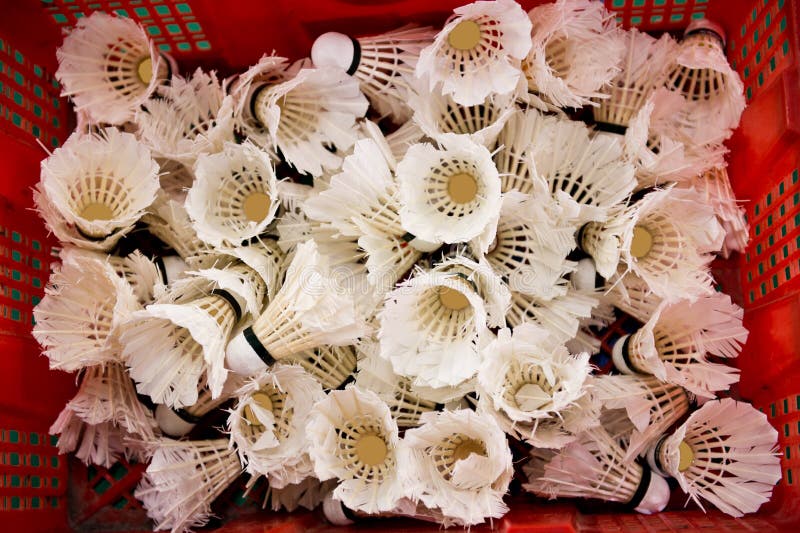 Shuttlecocks stock image. Image of recreation, feather - 32603757