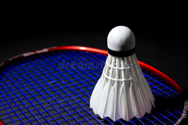 Shuttlecocks on the Racket. Stock Image - Image of indoor, compete ...