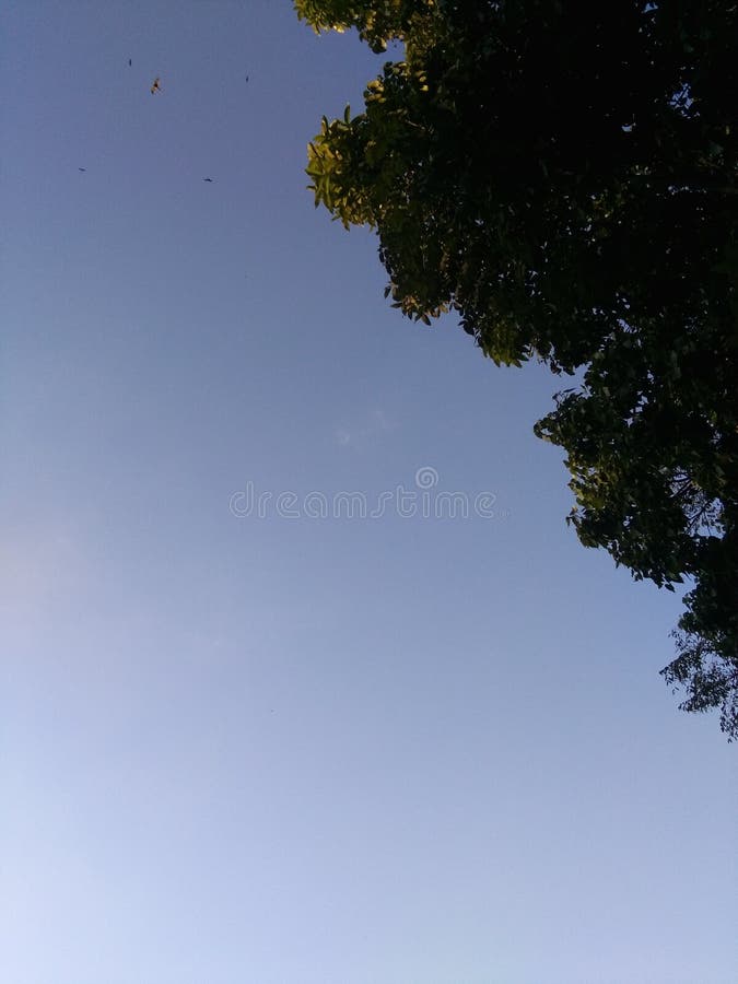 Shy stock image. Image of look, beautiful, great - 136853769