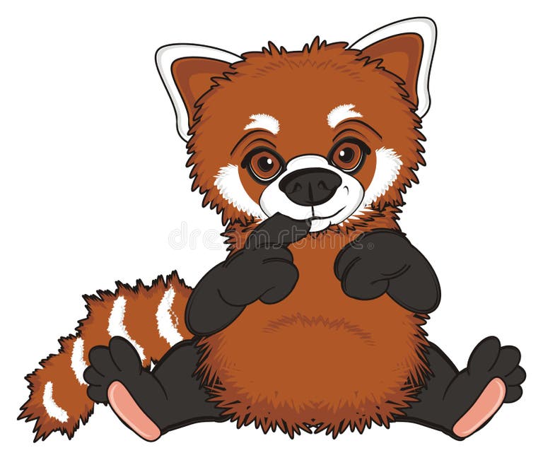 Shy red panda stock illustration. Illustration of panda - 86140882