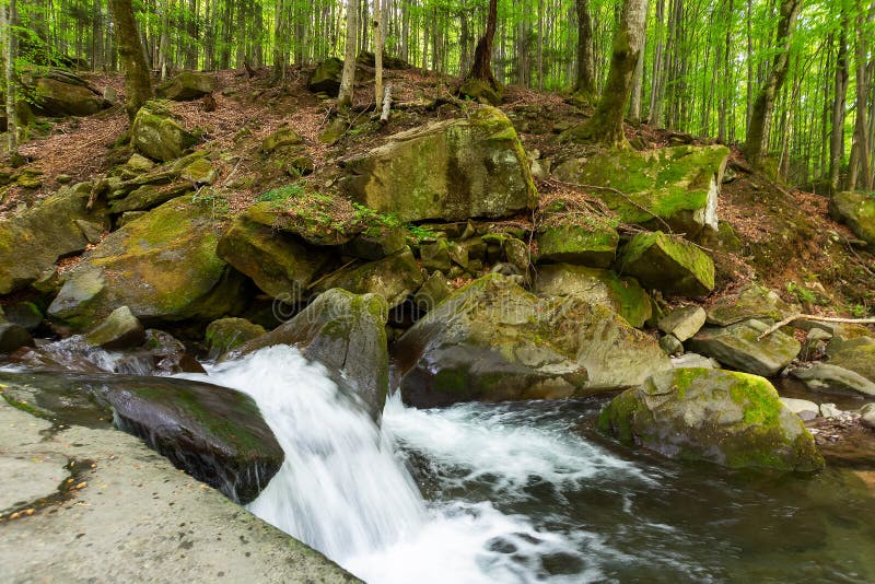 Water Flowth Stock Photos - Free & Royalty-Free Stock Photos from ...