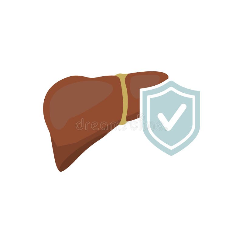 Healthy Liver Icon, Vector Illustration Stock Vector - Illustration of ...