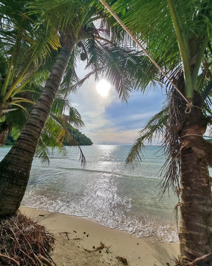 Siam Beach Resort Koh Kood, Thailand Stock Image - Image of resort ...