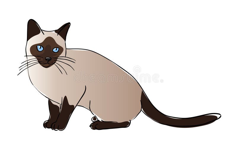 Siam cat stock illustration. Illustration of cute, siam - 54201118