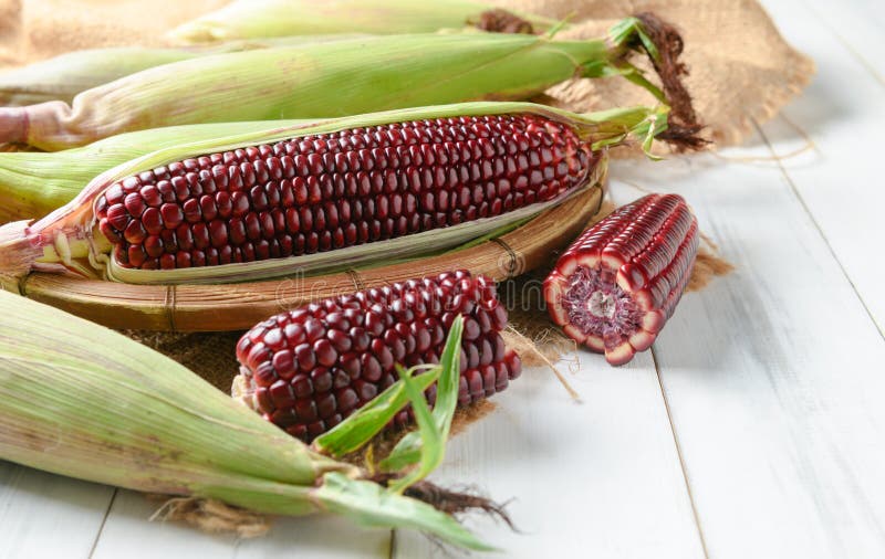 Siam Ruby Queen Corn Isolated on White Background Stock Photo - Image ...