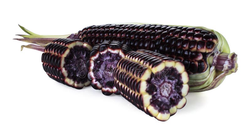 Siam Ruby Queen Is Super Sweet Corn With Red Color, Can Be Eaten Fresh ...