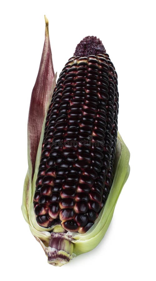 Siam Ruby Queen is Super Sweet Corn with Red Color, Can Be Eaten Fresh ...